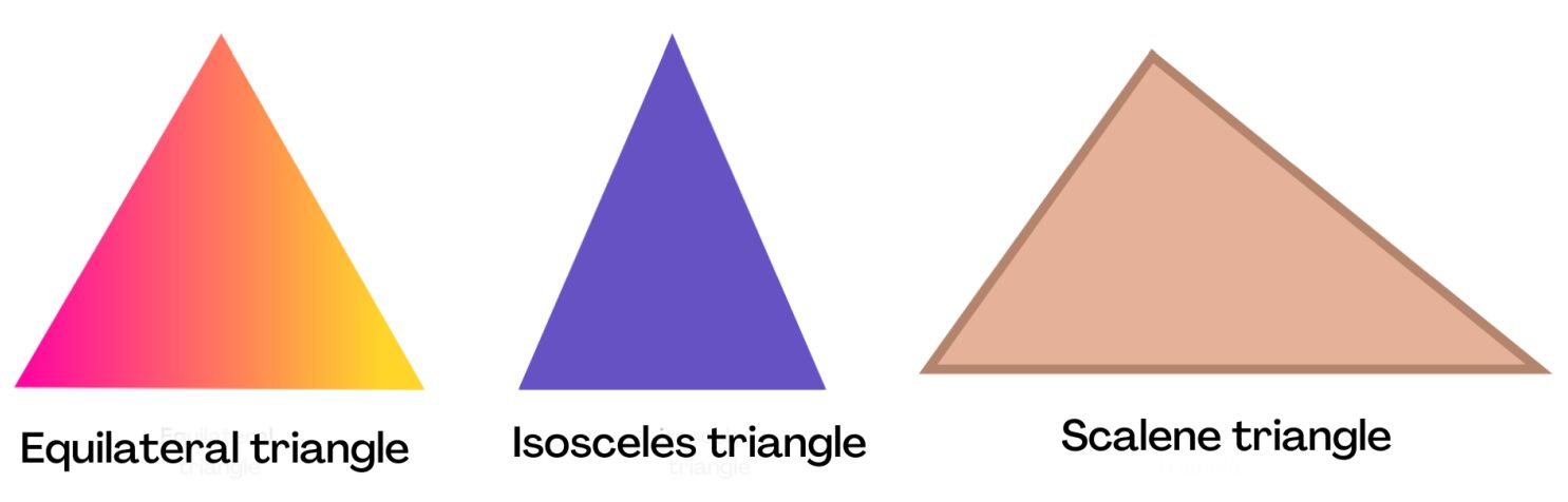 Shapes | Year 6 Maths