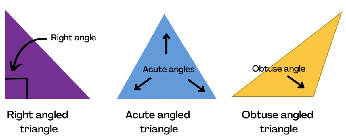 Shapes | Year 6 Maths