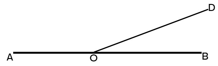 Geometric Reasoning | Year 6 Maths