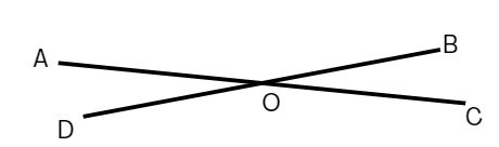 Geometric Reasoning | Year 6 Maths